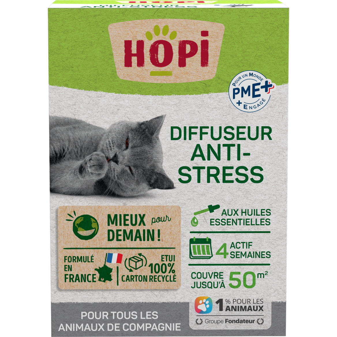 Chat qui urine partout : explications et solutions pour y remédier